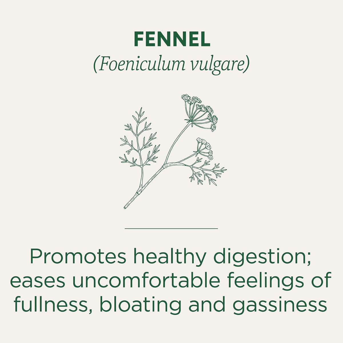 soothing herbal tea blend