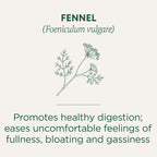 soothing herbal tea for digestion