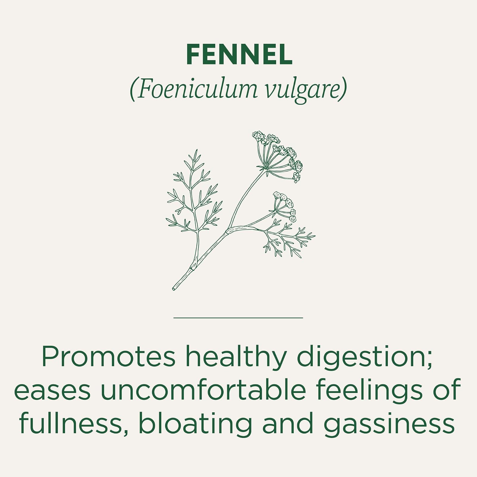 soothing herbal tea for digestion