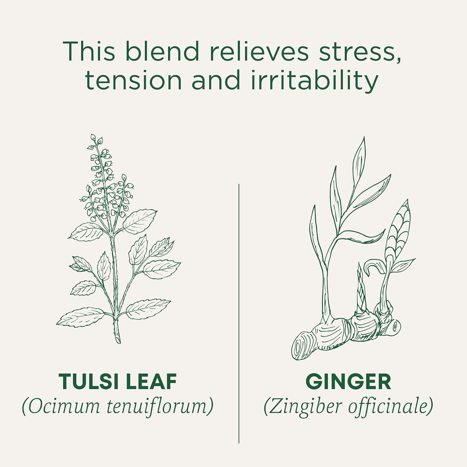 soothing herbal tea for digestion