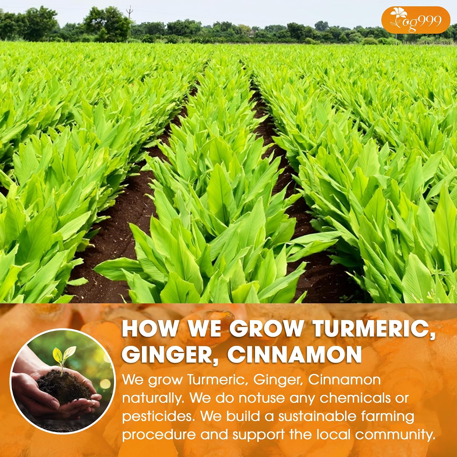 soothing herbal tea for digestion