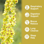 Soothing herbal tea for relaxation