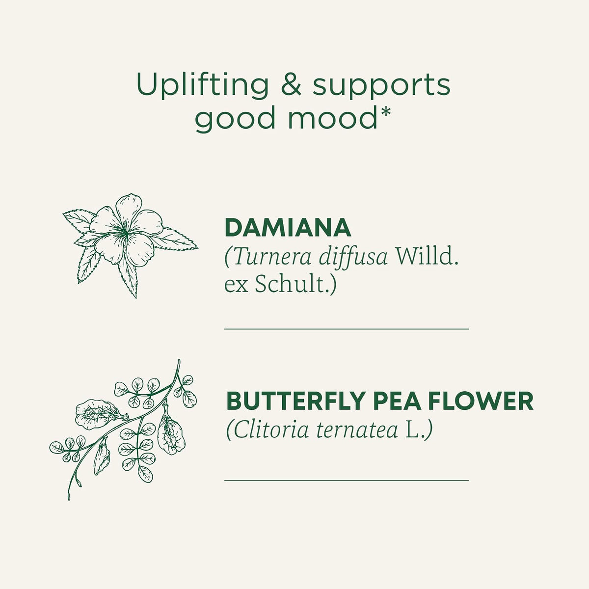 soothing herbal tea for relaxation