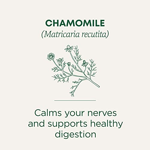 soothing herbal tea for relaxation