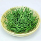 soothing herbal tea for relaxation