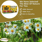 soothing herbal tea for relaxation