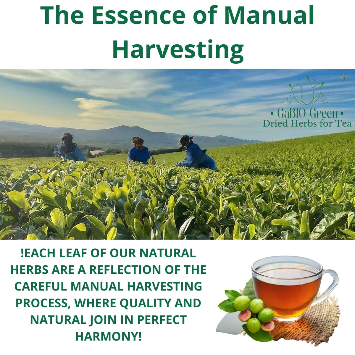 soothing herbal tea for relaxation