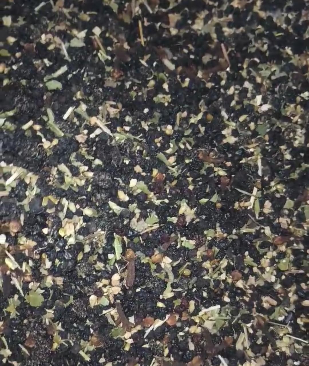 soothing herbal tea for relaxation