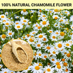 soothing herbal tea for relaxation