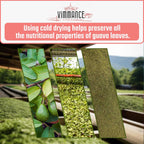 soothing herbal tea for relaxation
