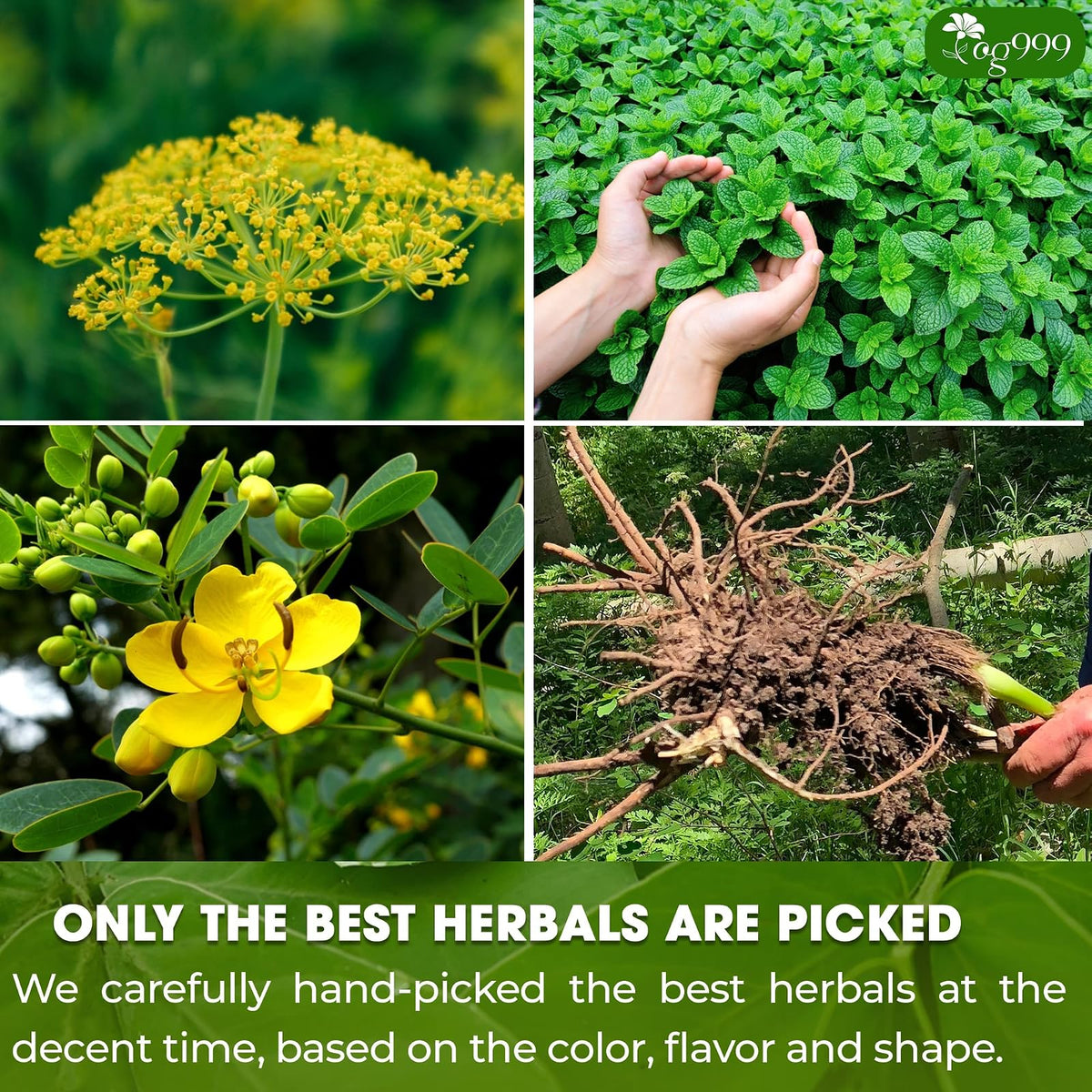 soothing herbal tea for relaxation