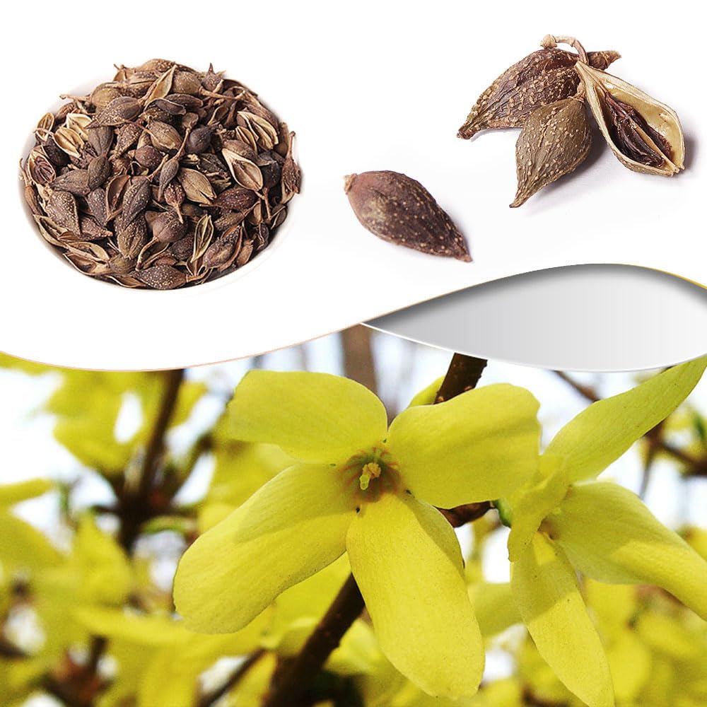 soothing herbal tea for relaxation