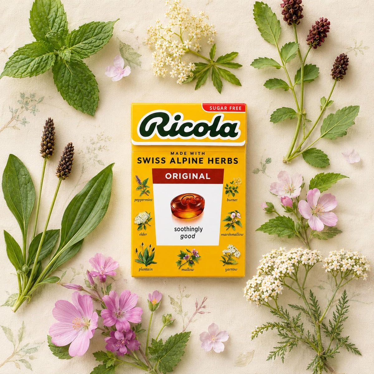 soothing herbal tea for throat