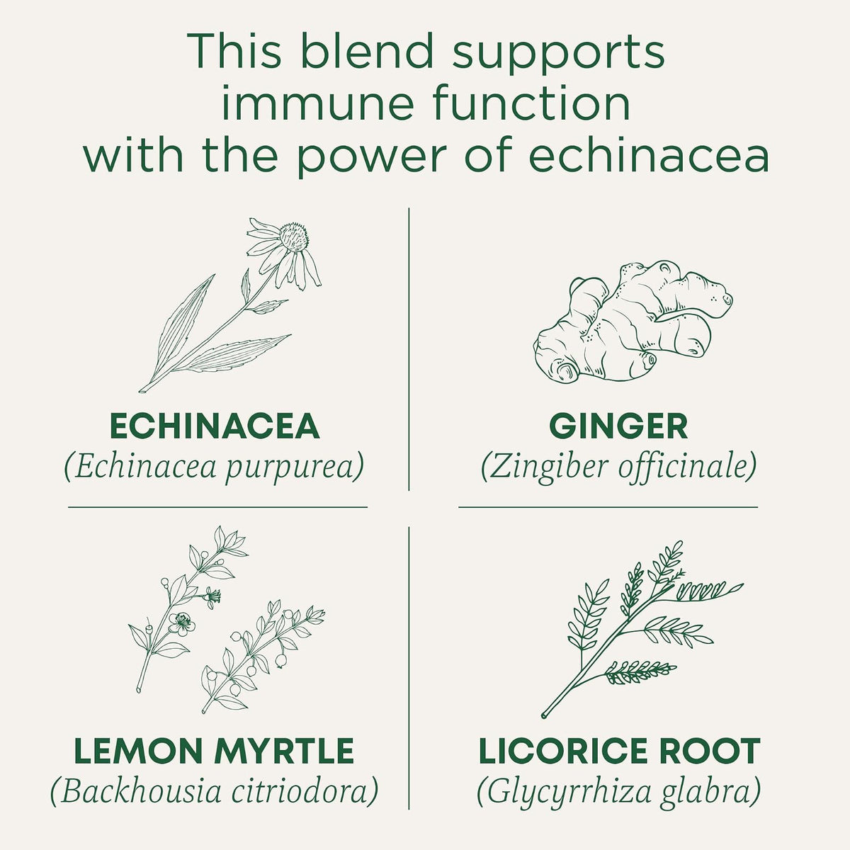 soothing herbal tea for wellness