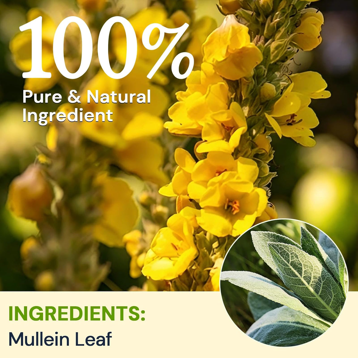 soothing herbal tea for wellness