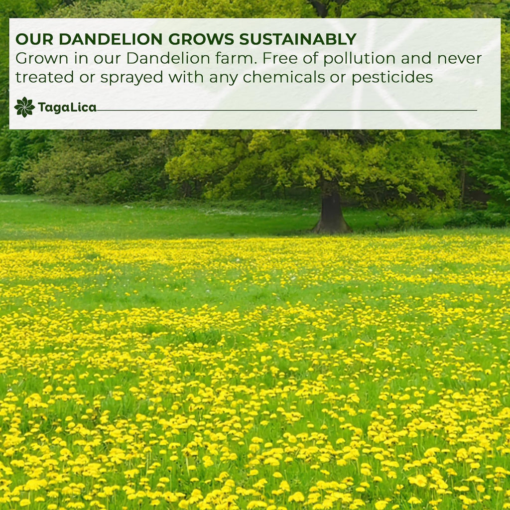soothing herbal tea with dandelion root