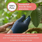soothing herbal tea with guava