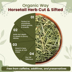 soothing herbal tea with horsetail