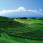 soothing herbal teas for wellness
