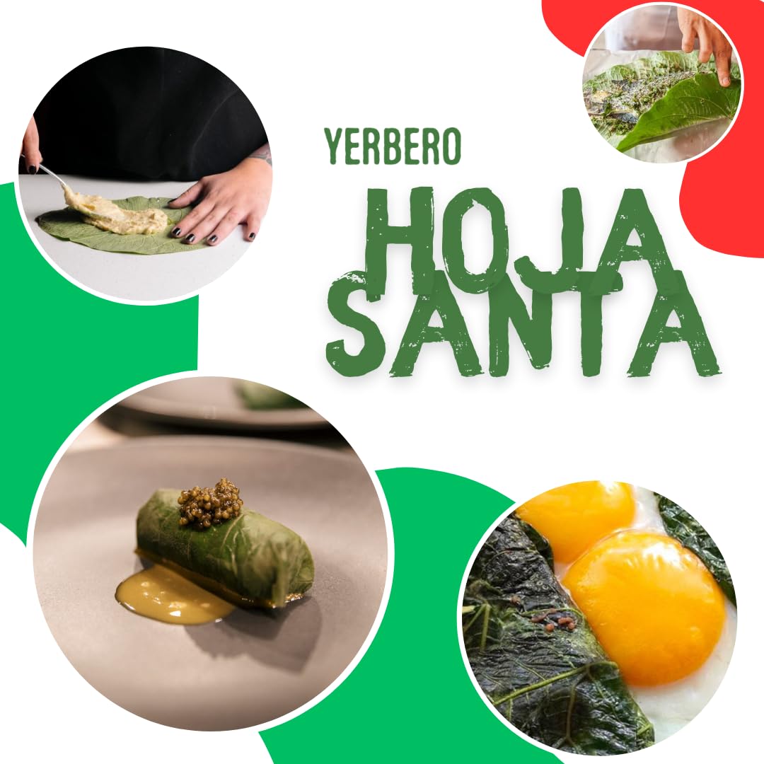 soothing Hierba Santa tea experience
