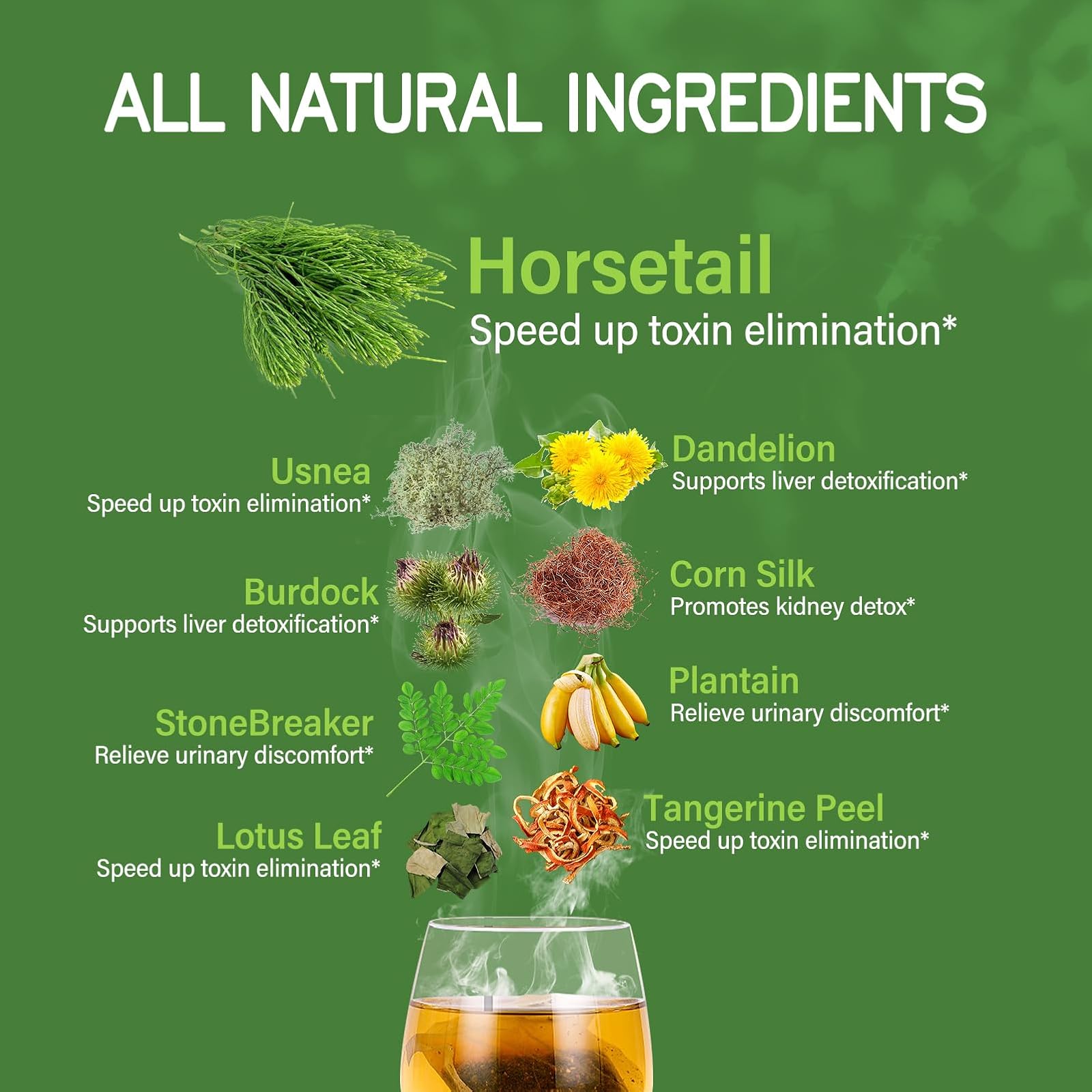 soothing horsetail herb tea extract