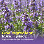 soothing hyssop tea for relaxation
