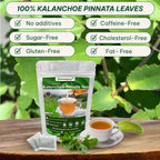 soothing Kalanchoe Pinnata tea experience