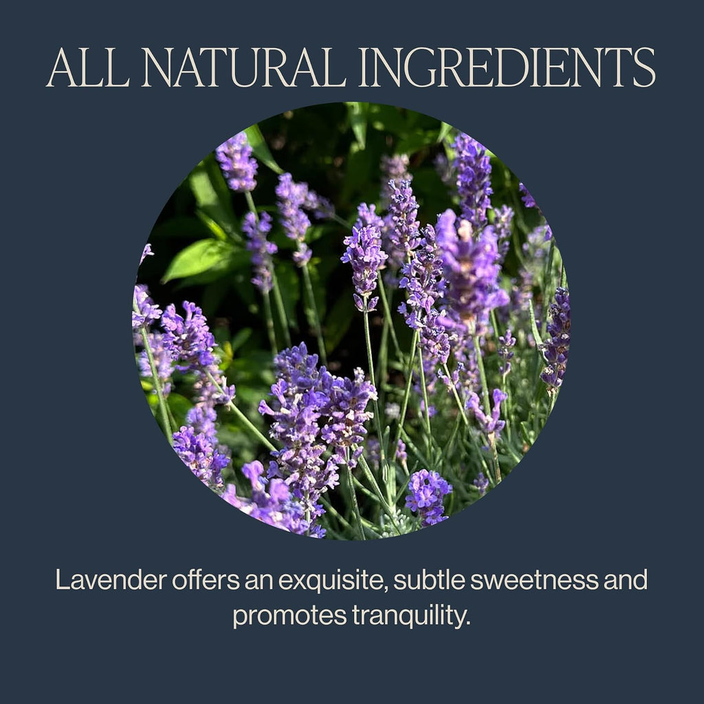 soothing lavender mint tea sachets