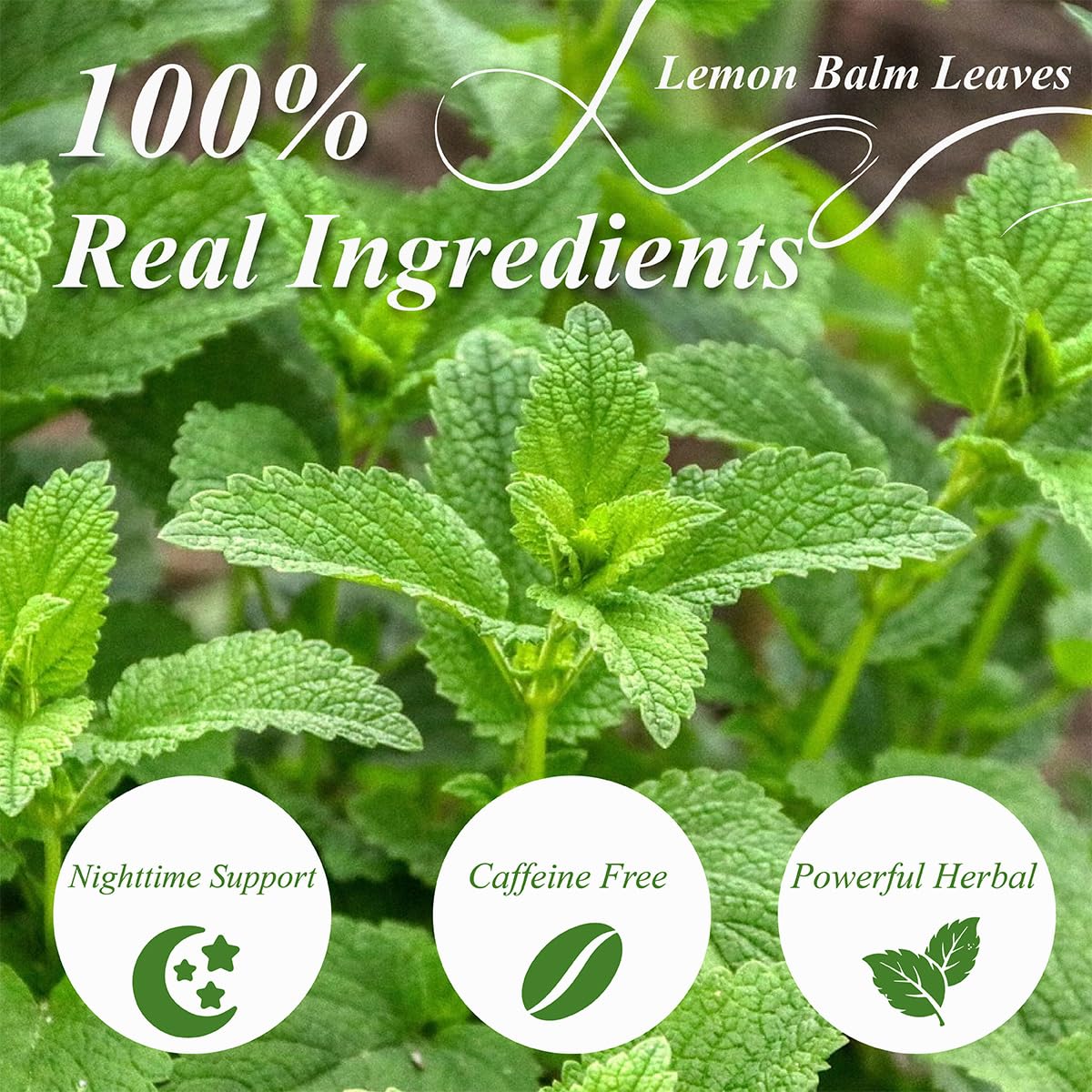 soothing lemon balm tea bags