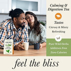 soothing lemon balm tea experience