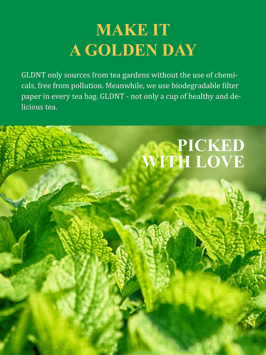 soothing lemon balm tea for relaxation