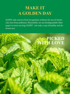soothing lemon balm tea for relaxation