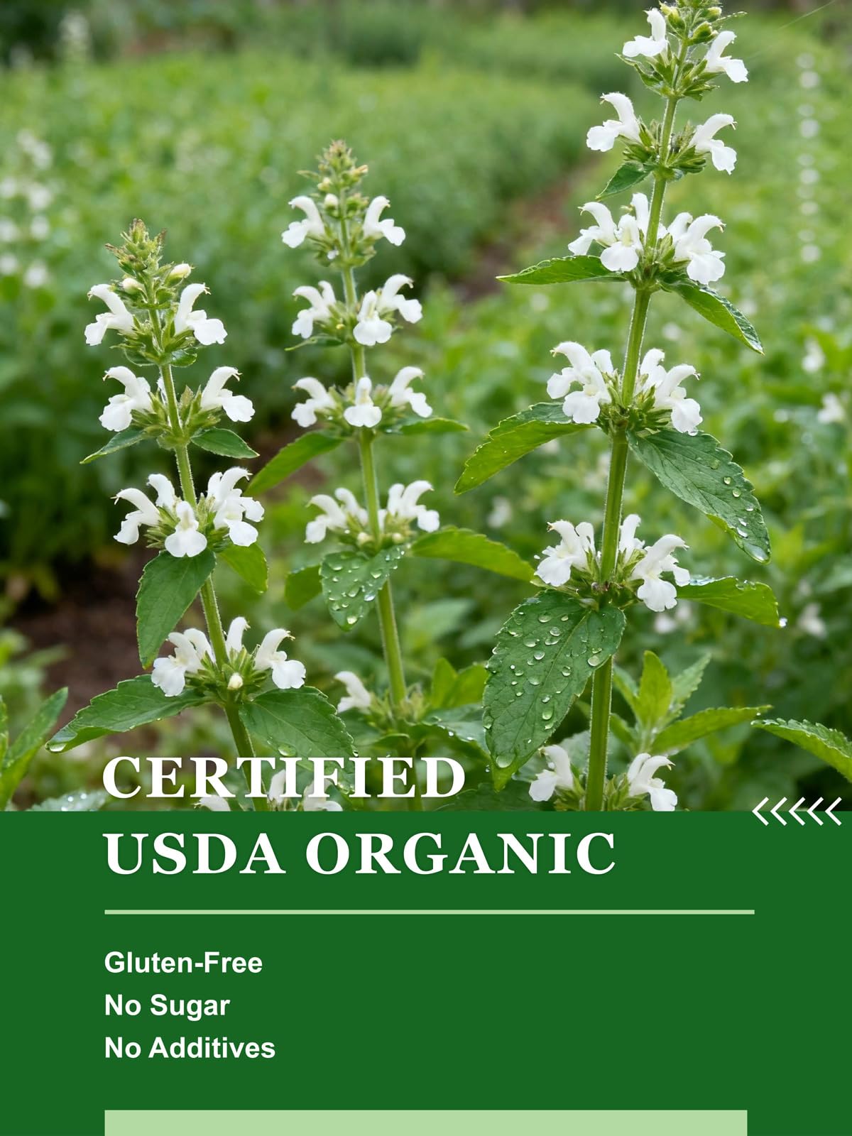 soothing lemon balm tea for relaxation
