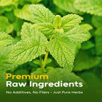 soothing lemon balm tea for relaxation