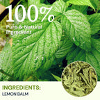soothing lemon balm tea for stress relief