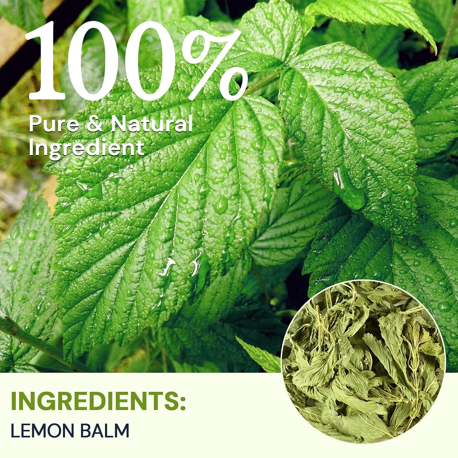soothing lemon balm tea for stress relief