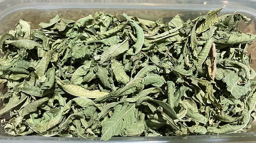 soothing lemon verbena herbal infusion