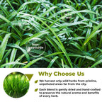 soothing lemongrass tea for wellness