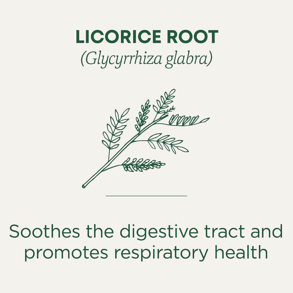 soothing licorice root tea bags