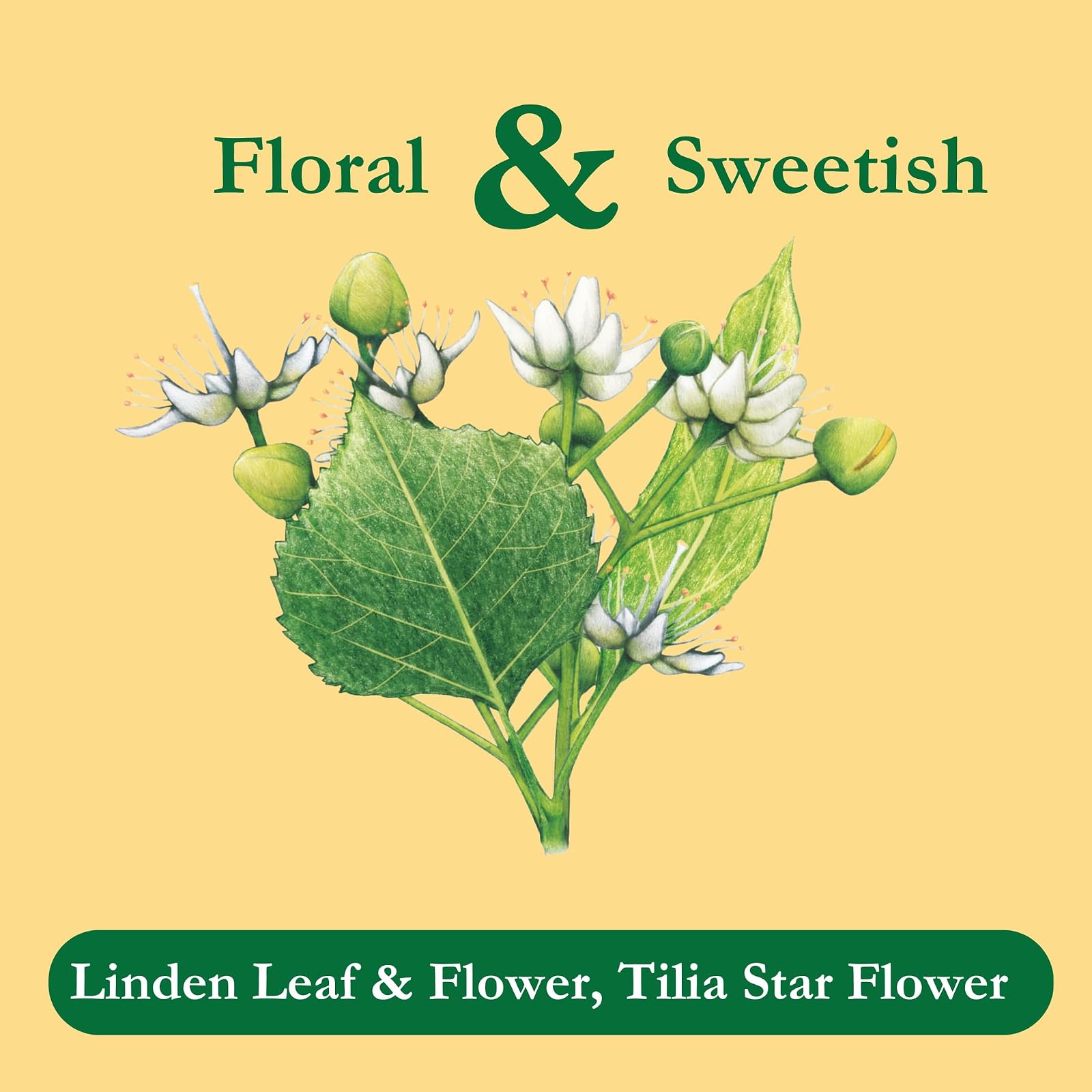 soothing linden herbal tea bags