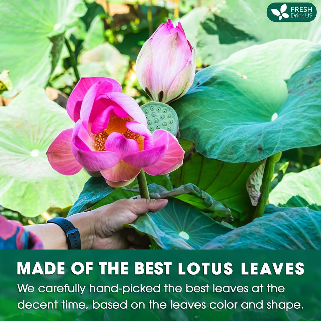 soothing lotus leaf tea experience