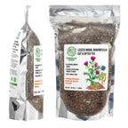 soothing Maral Root and ginseng infusion
