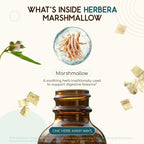 soothing marshmallow root extract for digestion