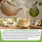 soothing marshmallow root tea for relaxation