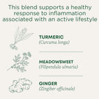 soothing meadowsweet tea bags