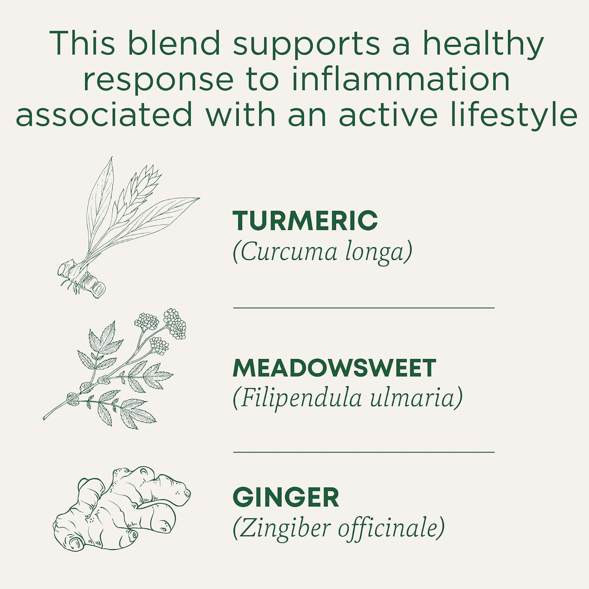 soothing meadowsweet tea bags