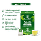 soothing mint tea for relaxation