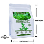 soothing mugwort tea experience