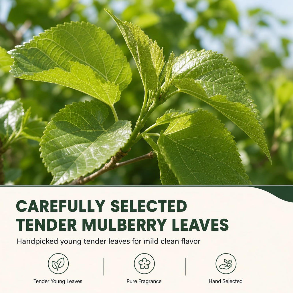 soothing mulberry leaf tea experience
