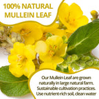 soothing mullein leaf herbal infusion